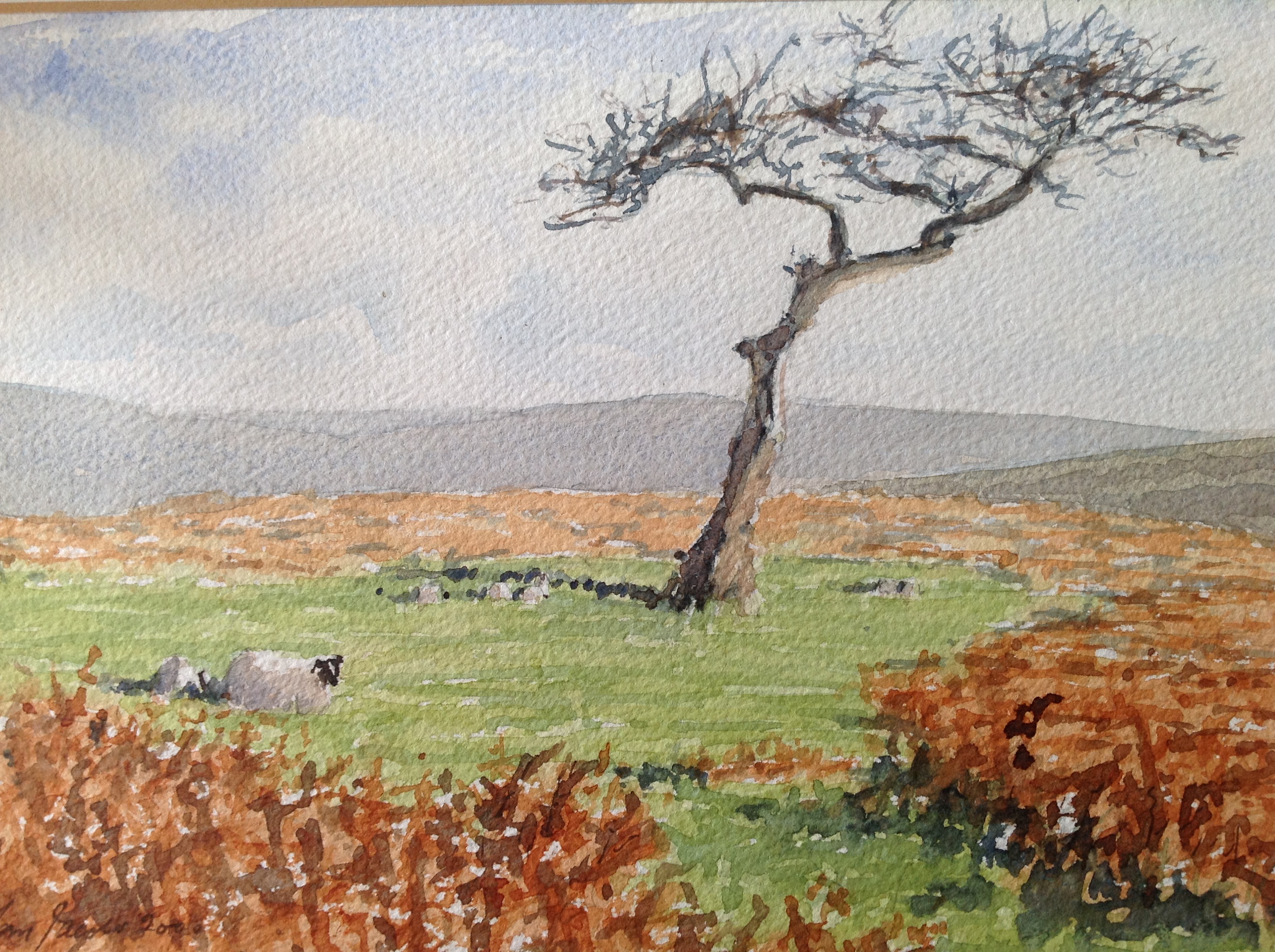 Gallery – Tom Jacobs